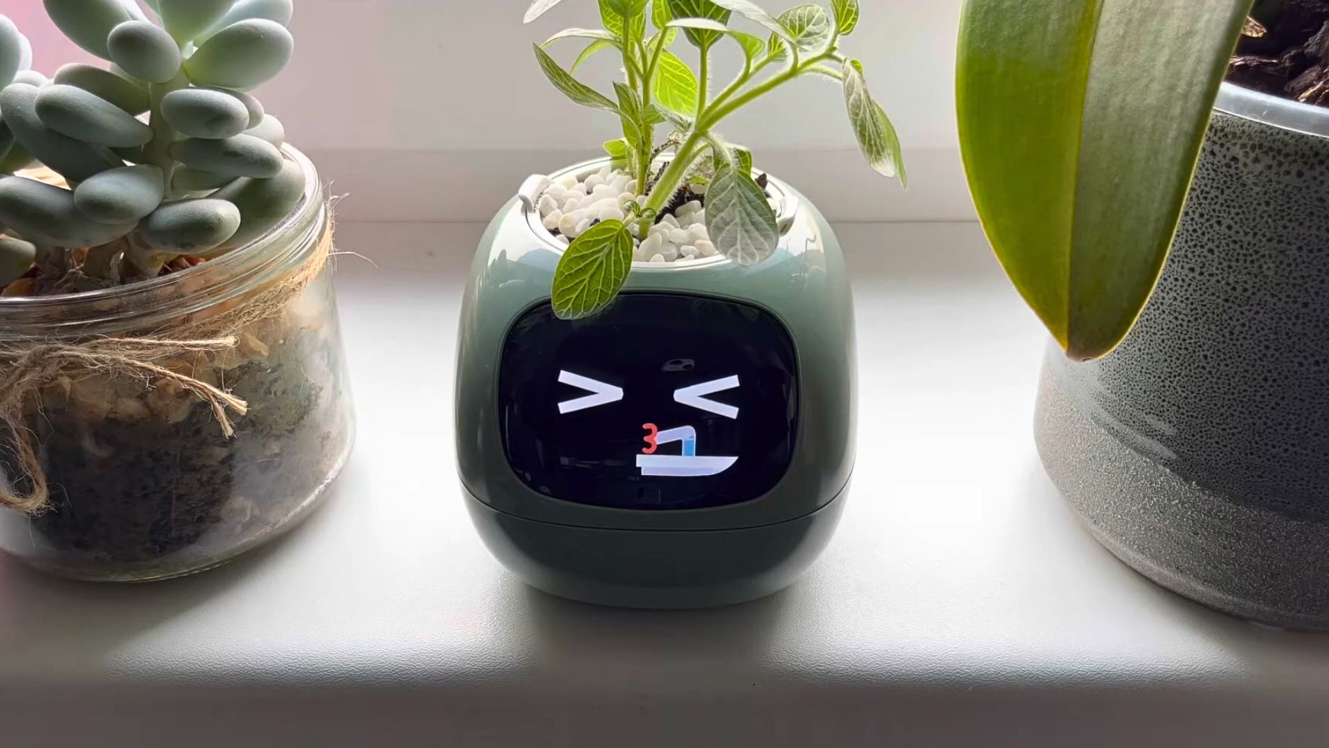 10 Pointless AI Products & 10 That Are Actually Useful - TheSavvyGamer